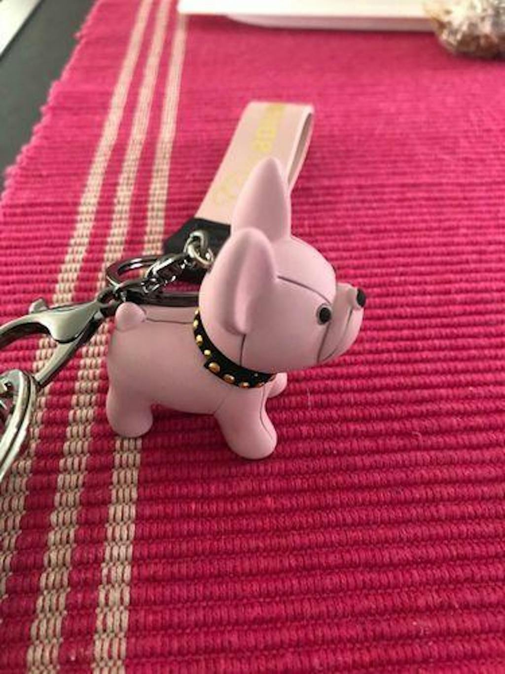 Frenchie Keychain : Limited Edition (CS05) – frenchie Shop
