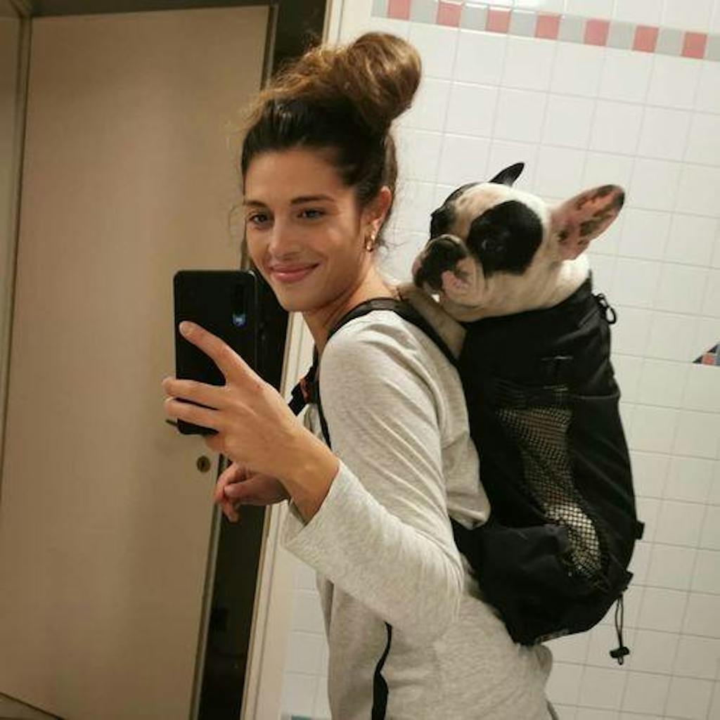 Frenchie Backpack™ [V1] (CS03) – frenchie Shop