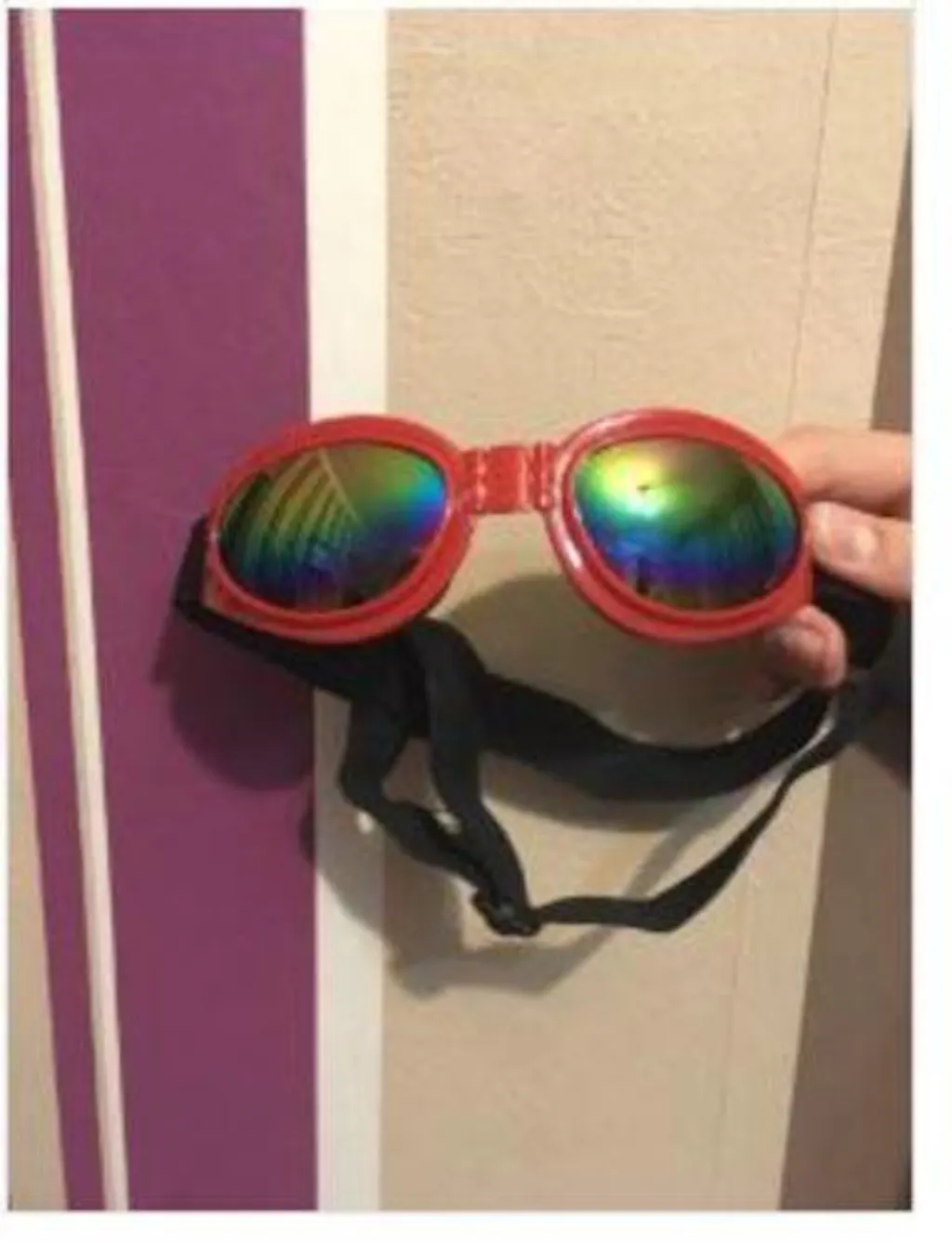 waterproof Goggles for Frenchies (WS04) – frenchie Shop