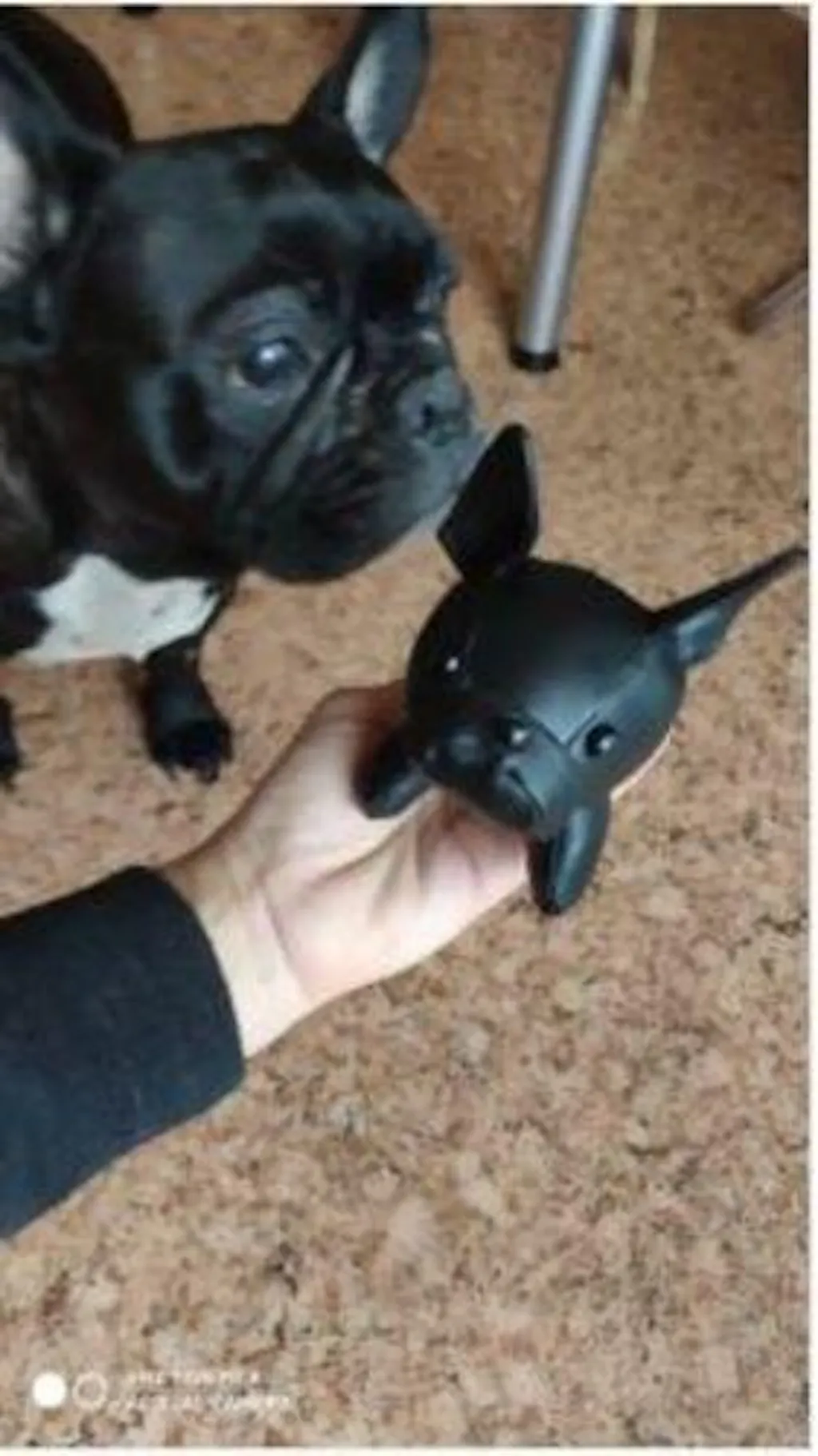 Frenchie Keychain (WS87) – frenchie Shop