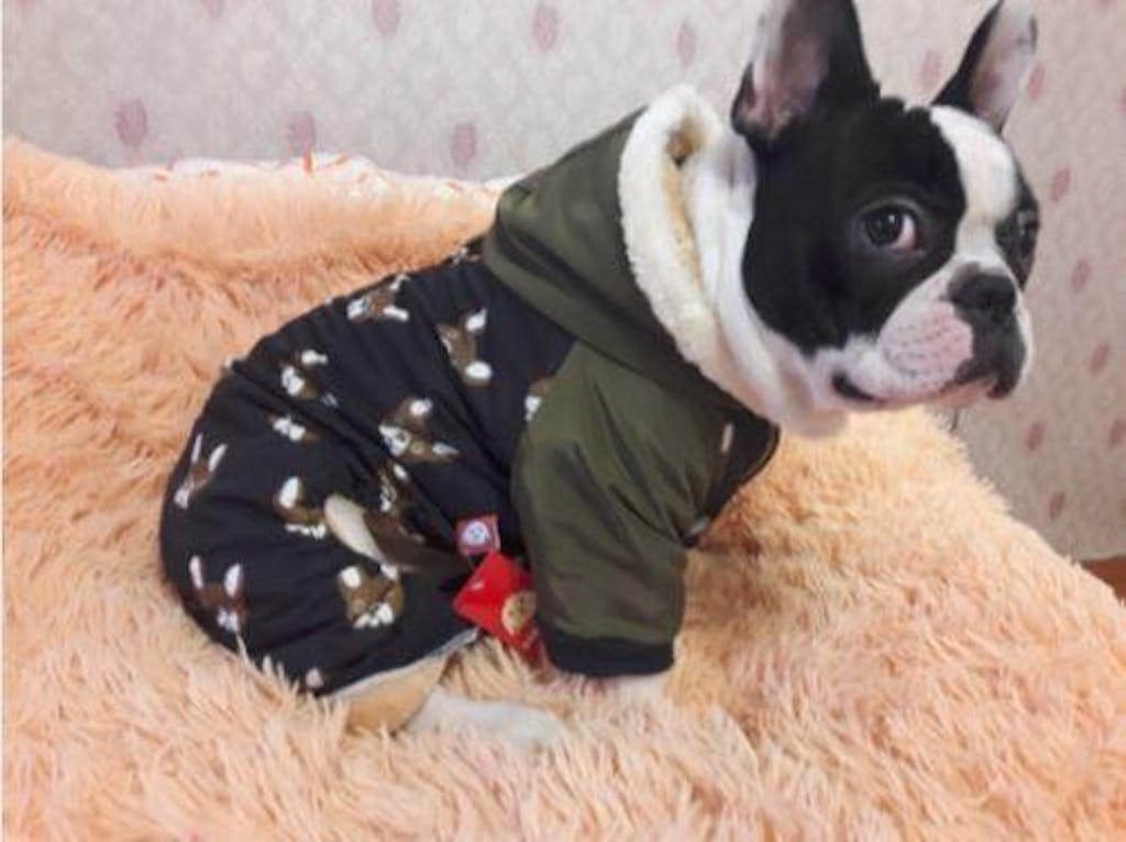 The Frenchies Coat [TM] (WS64) – frenchie Shop