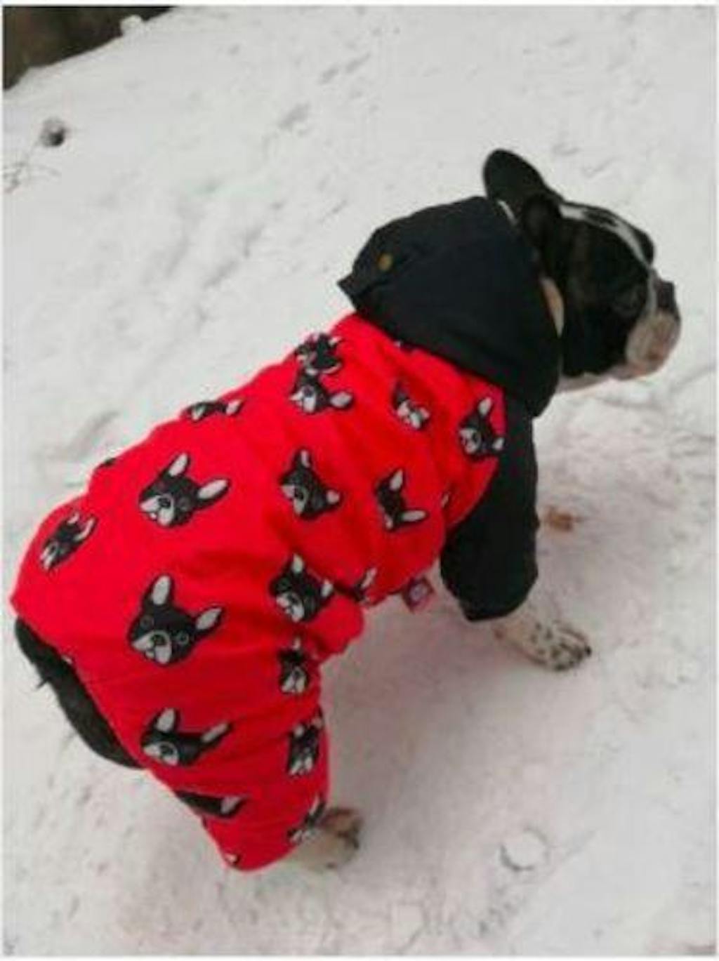 The Frenchies Coat [TM] (WS64) – frenchie Shop