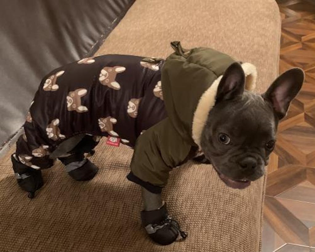 The Frenchies Coat [TM] (WS64) – frenchie Shop
