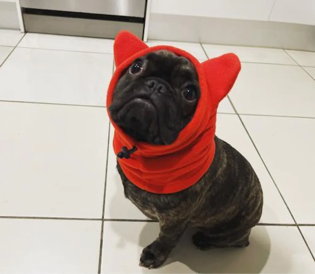 French Bulldog Soft Fleece Winter Hat – frenchie Shop