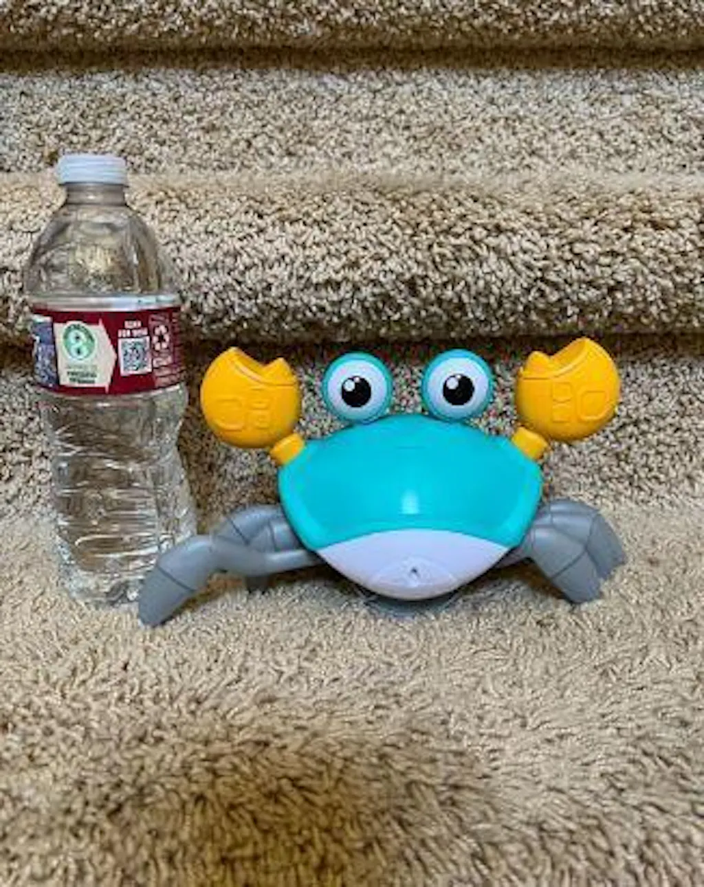 CrabToy™ - Frenchie interactive Toy – frenchie Shop