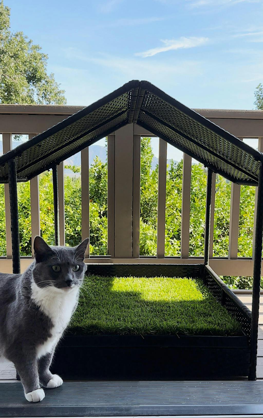 Fresh Patch Reviews - Check out who likes our Doggie Grass Pads