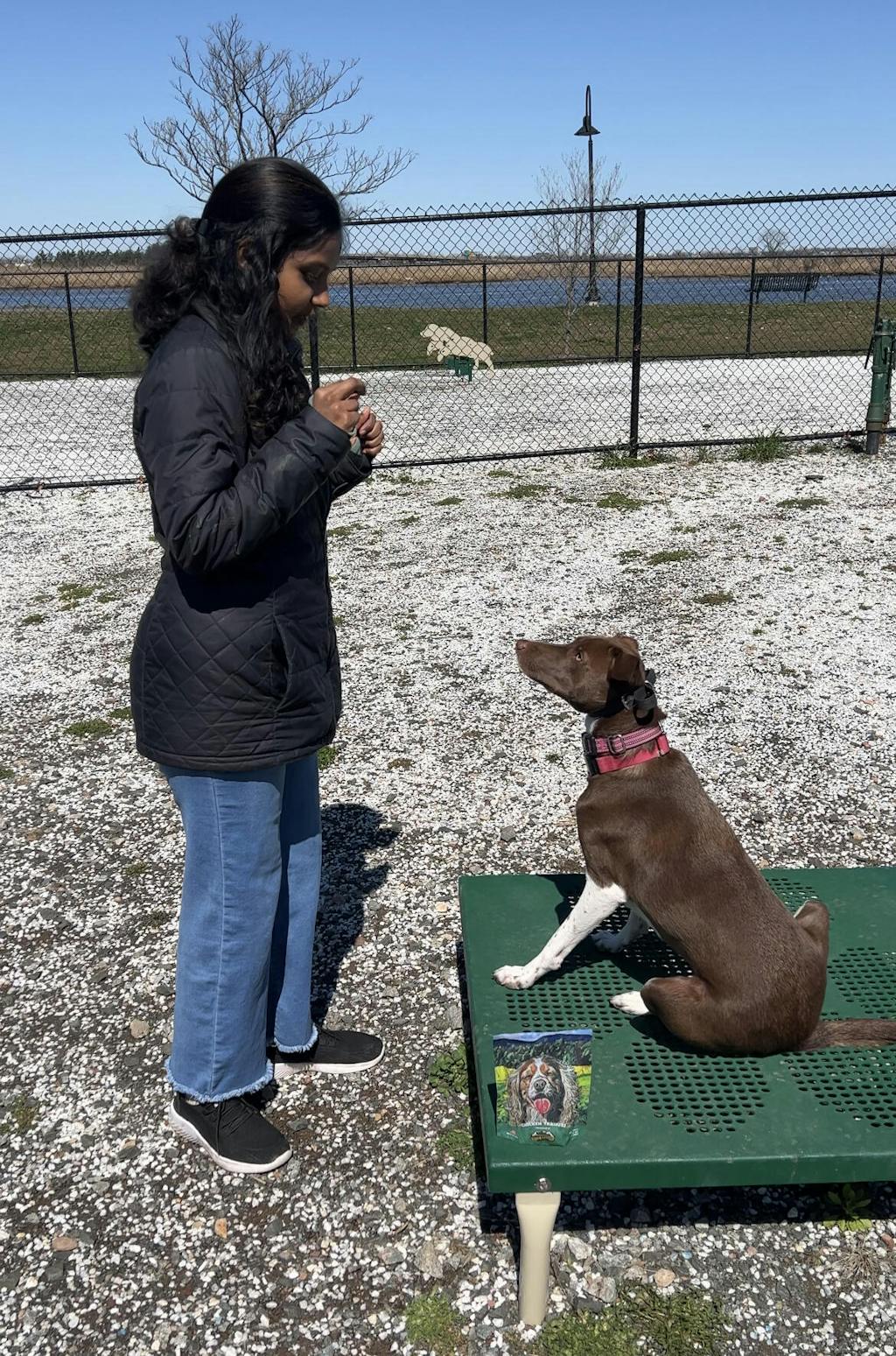 Fresh Patch Training Treats