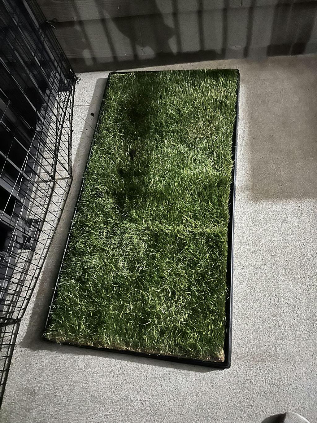 Fresh Patch Reviews - Check out who likes our Doggie Grass Pads