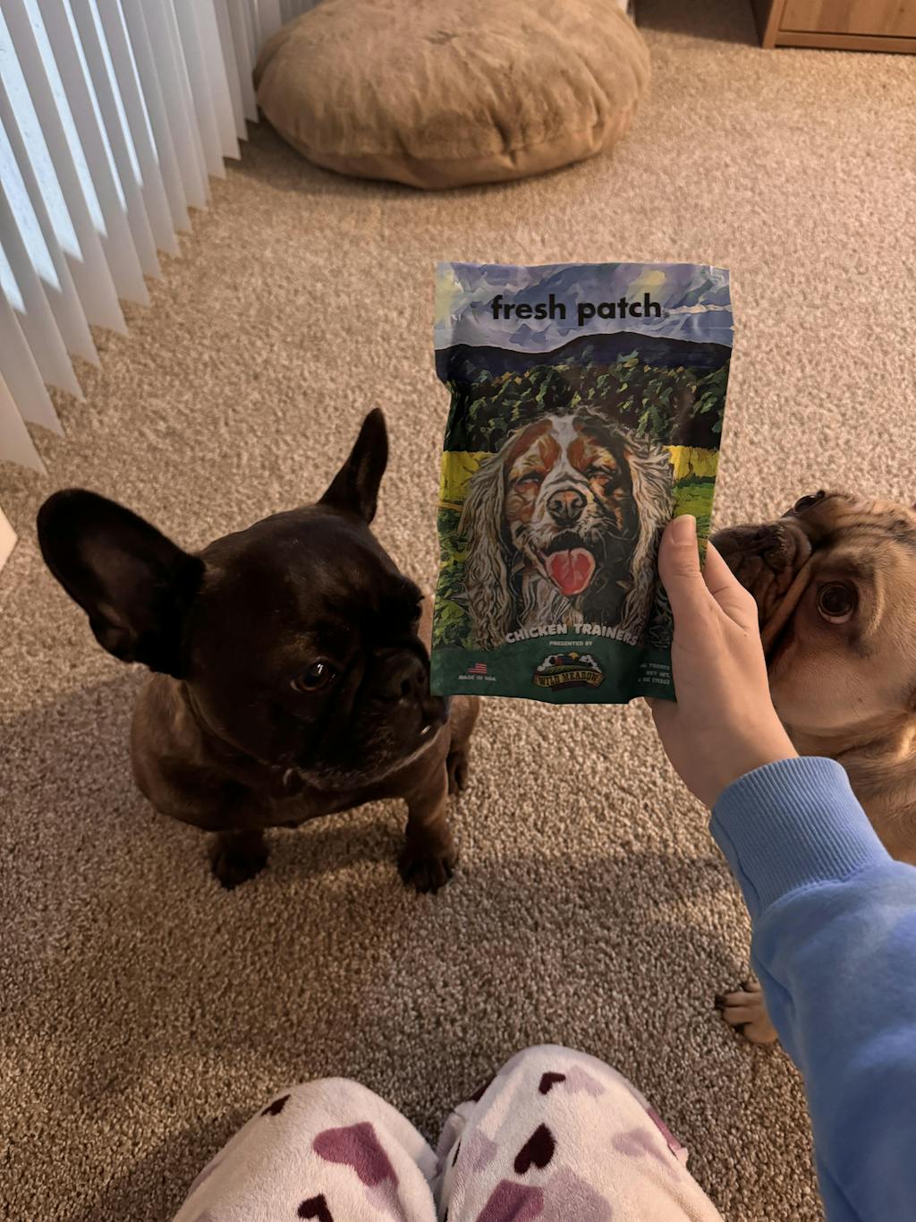 Fresh Patch Training Treats