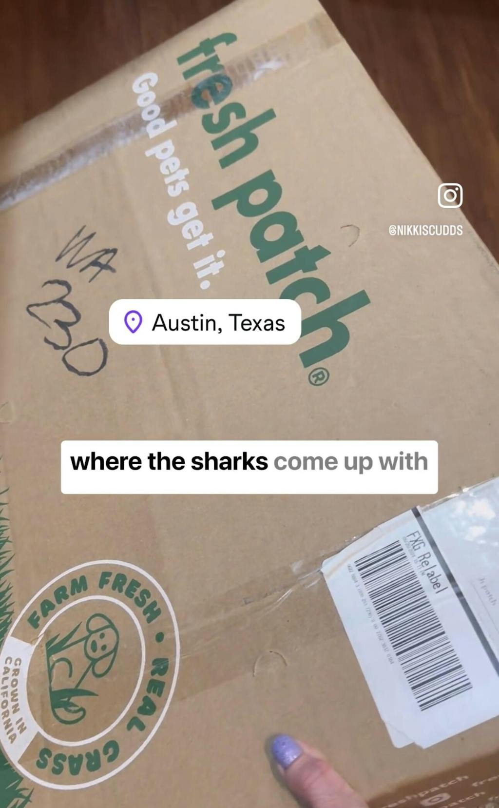 Fresh Patch Large - Dog Grass Pee Pad (Real Grass)