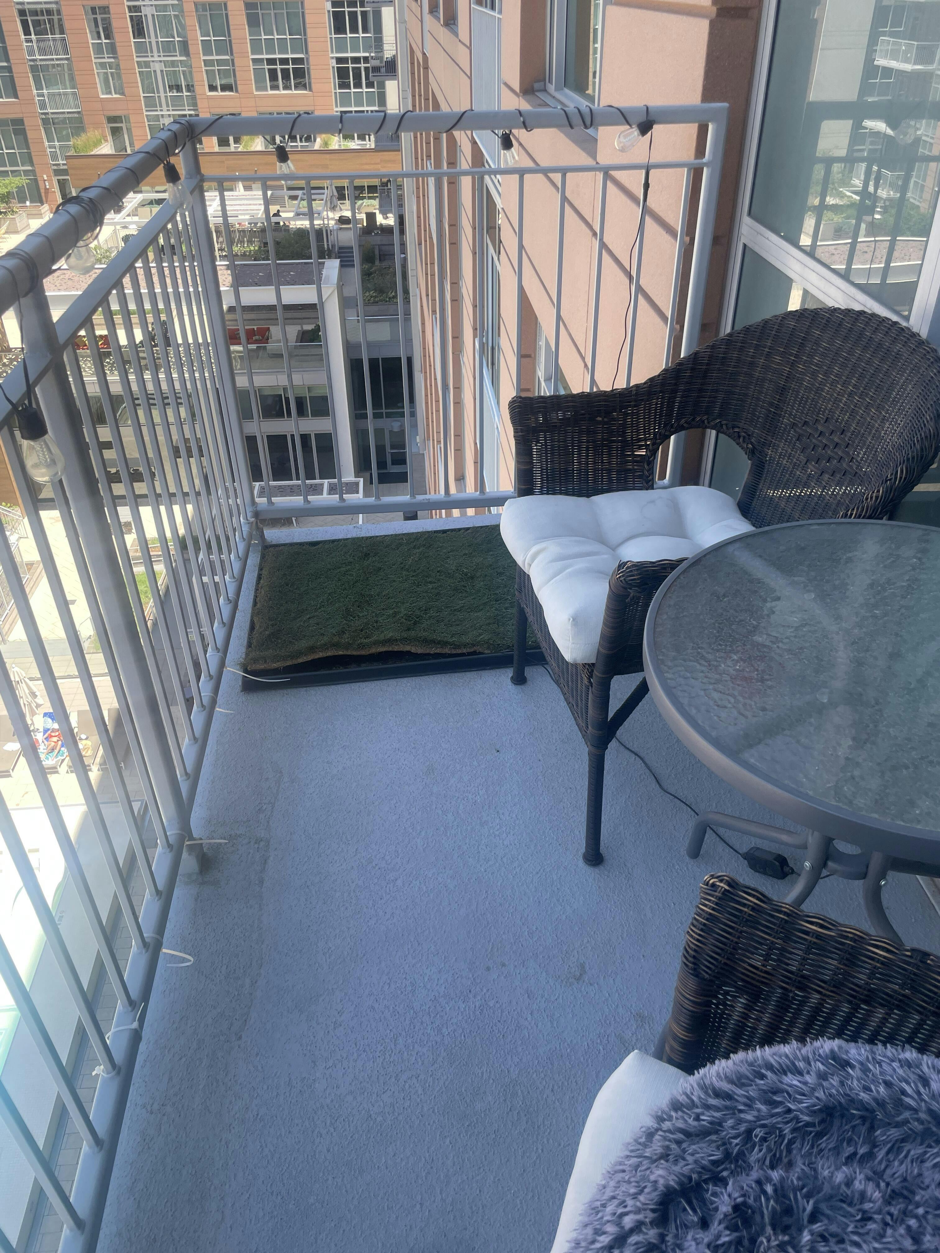 Fresh Patch Large - Dog Grass Pee Pad (Real Grass)