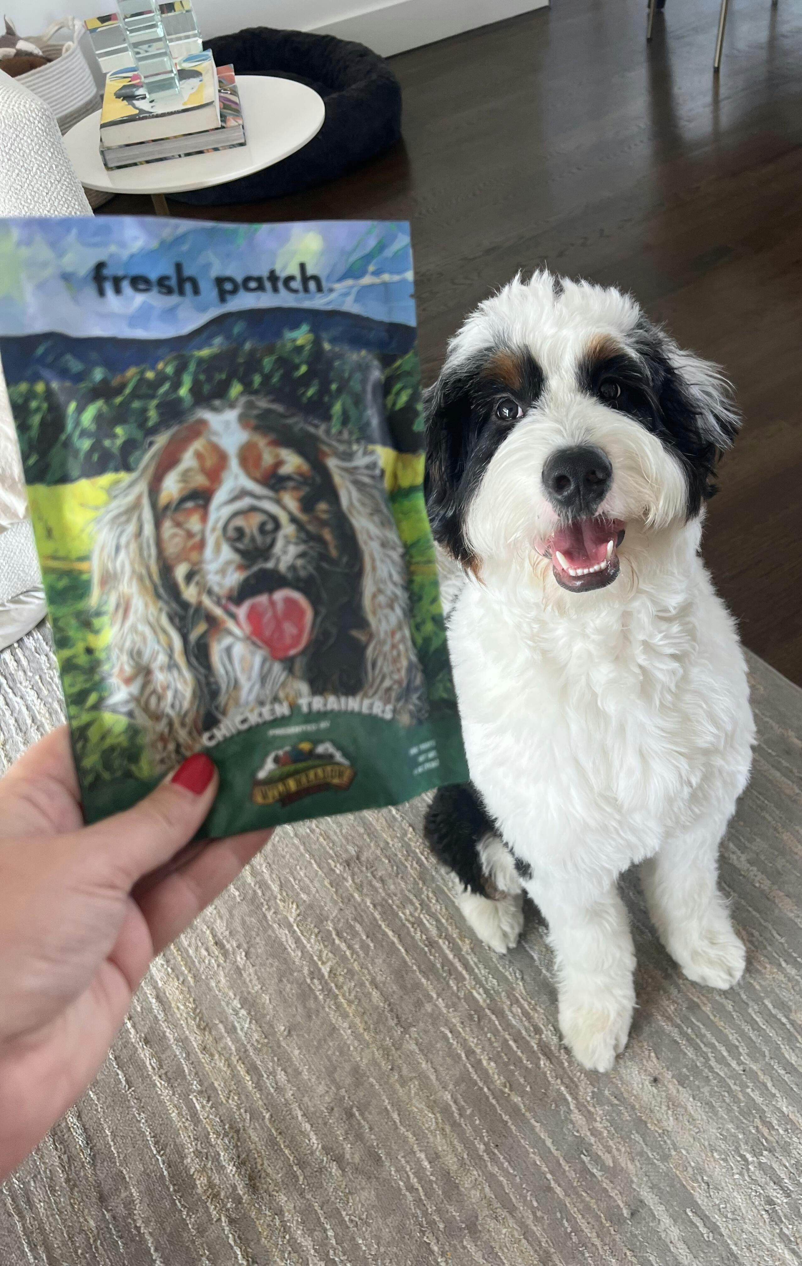 Fresh Patch Training Treats