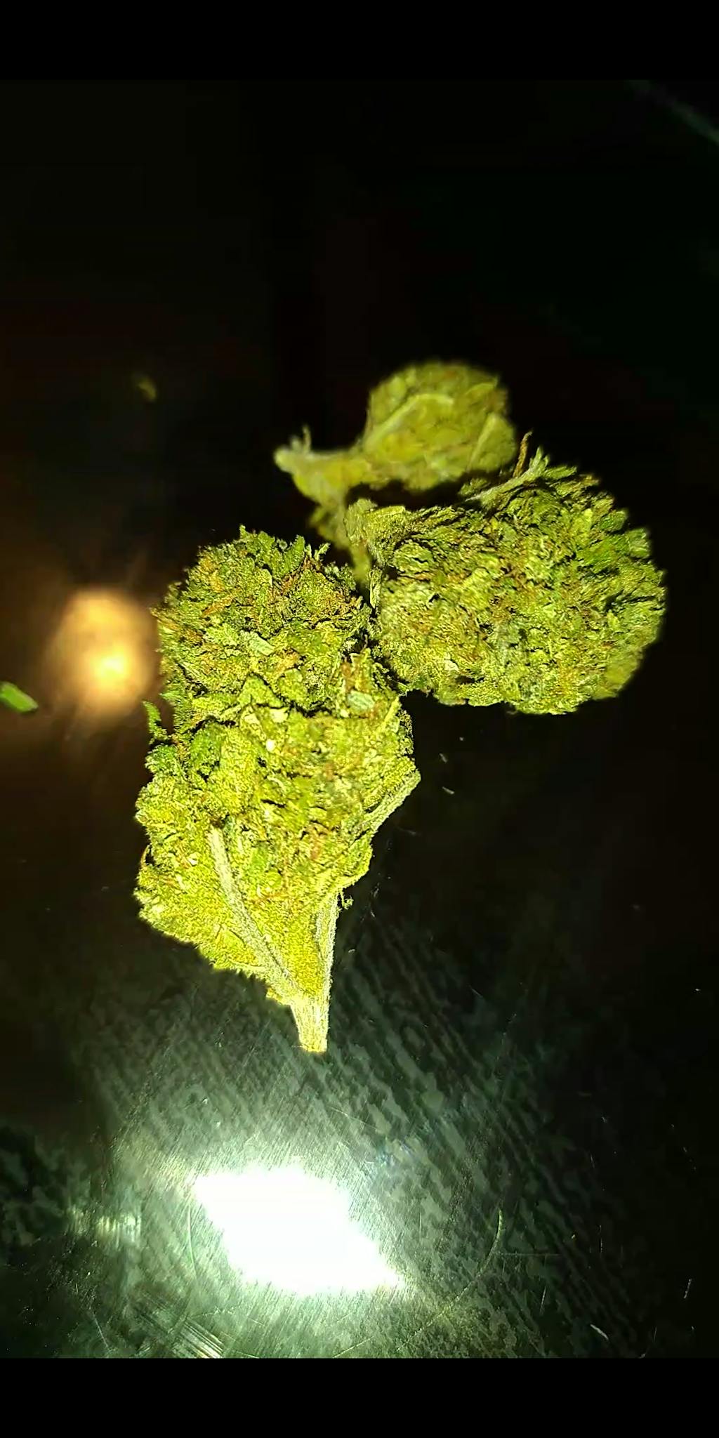 VENOM OG - INDOOR ORGANIC - CBD FLOWER - 1/2 OZ. 14 GRAMS – Frisco Labs ...