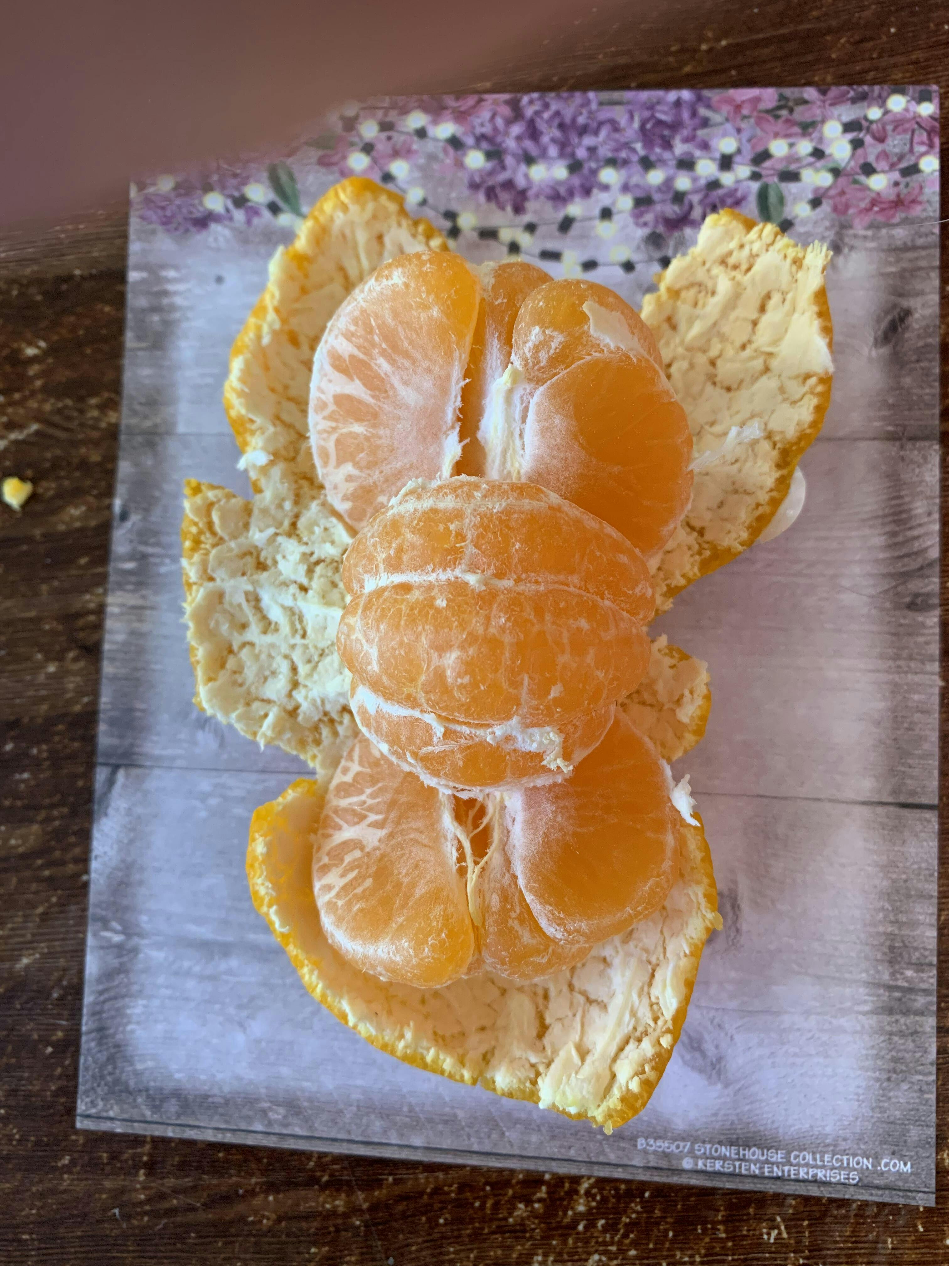 Organic Satsuma Mandarins | Frog Hollow Farm