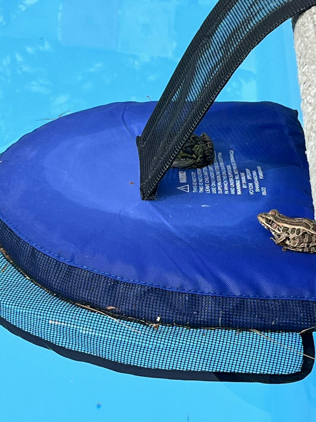 FrogLog: Keeps Frog & Other Animals Out Of Your Swimming Pool