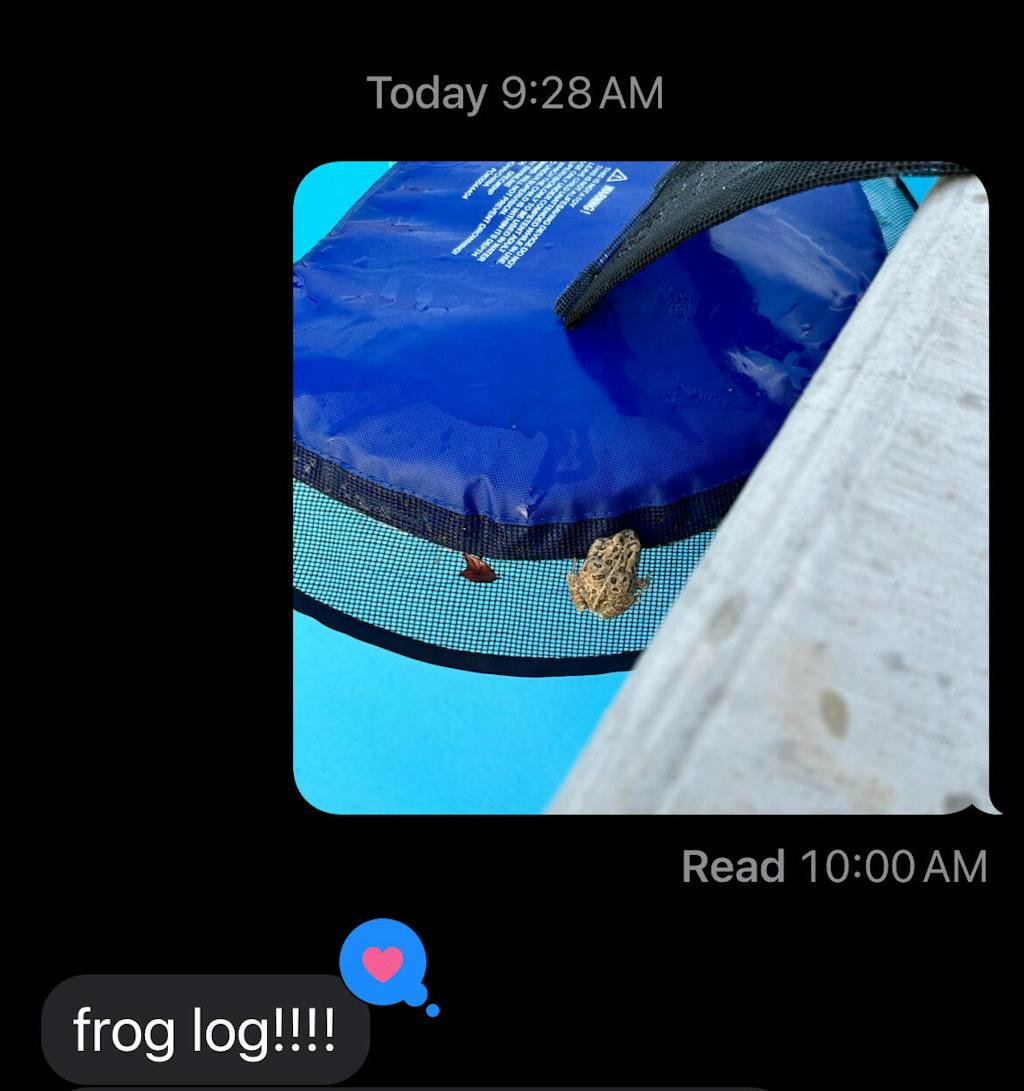 FrogLog: Keeps Frog & Other Animals Out Of Your Swimming Pool