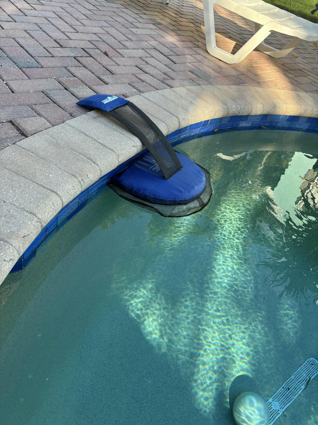 The Original FrogLog: Ready to Use | Shop Now on Froglog.us