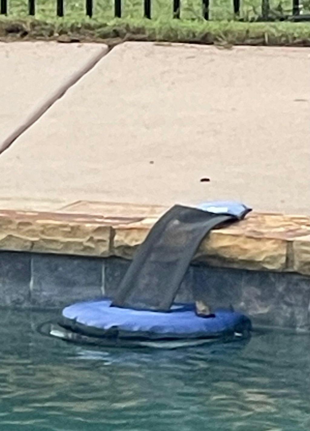 FrogLog: Keeps Frog & Other Animals Out Of Your Swimming Pool