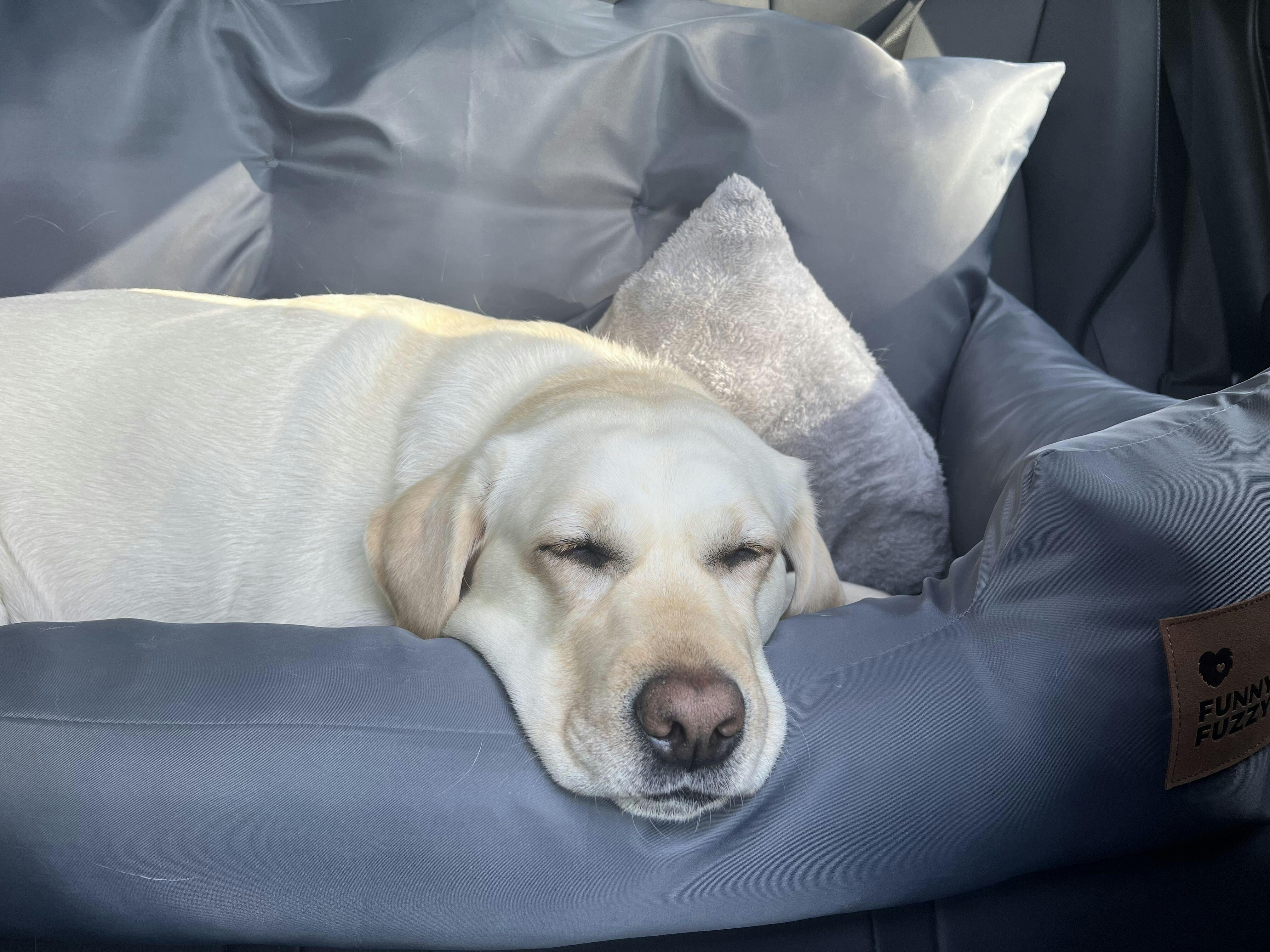 Travel Bolster Safety Medium Large Dog Car Back Seat Bed - FunnyFuzzy