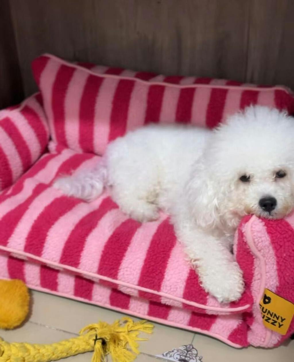 Trendy Striped Faux Lambswool Double Layer Dog & Cat Sofa Bed - FunnyFuzzy