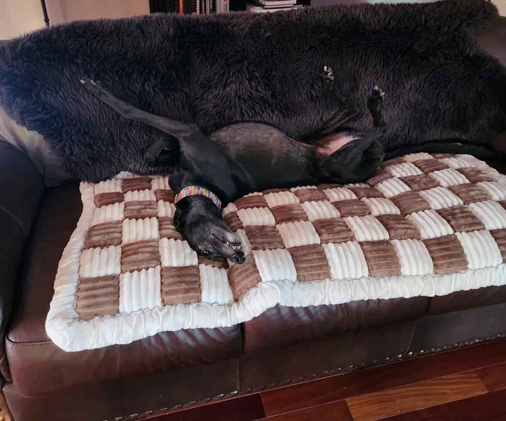 Cream-coloured Large Plaid Square Fuzzy Pet Dog Mat Bed Couch Cover ...