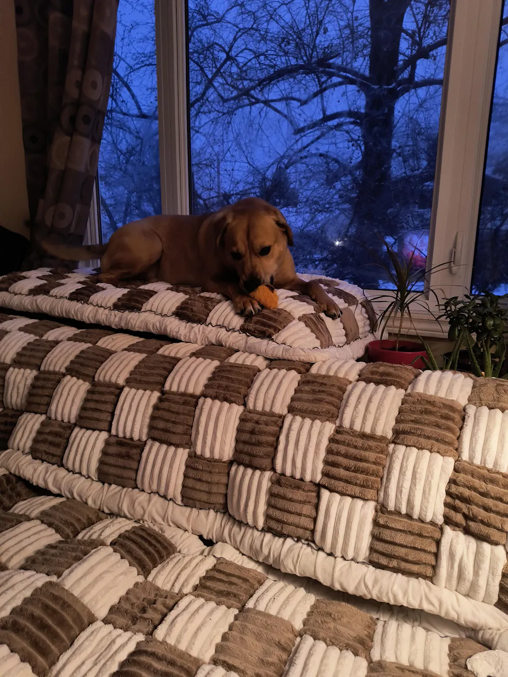 Cream coloured Large Plaid Square Fuzzy Pet Dog Mat Bed Couch Cover cream-coloured-large-plaid-square-fuzzy-pet-dog-mat-bed-couch-cover