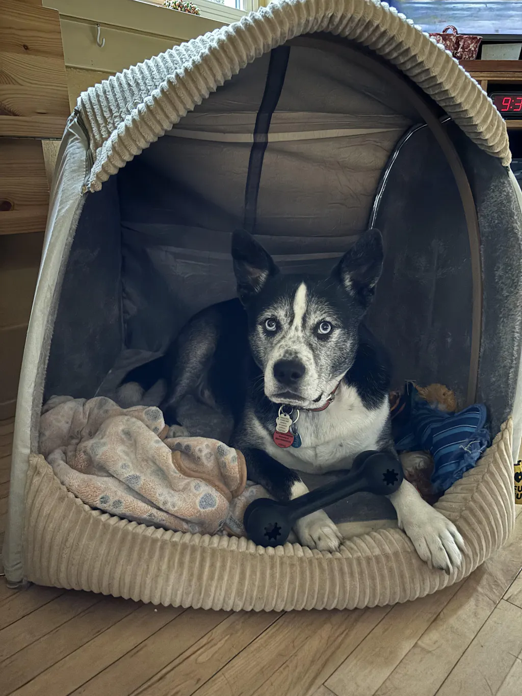 Flannel Semi-Enclosed Large Dog Tent Bed | Cozy and Detachable