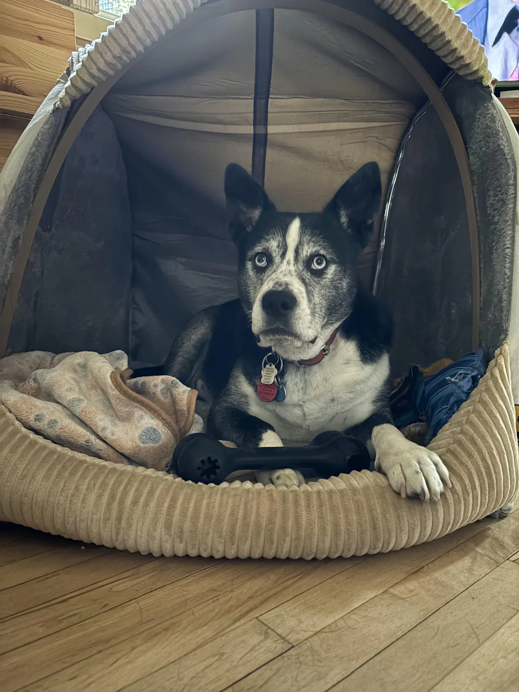 Flannel Semi-Enclosed Large Dog Tent Bed | Cozy and Detachable