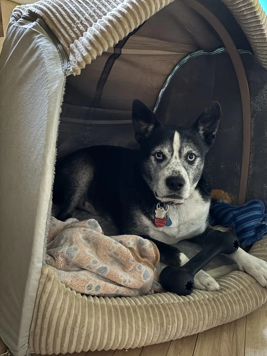 Flannel Semi-Enclosed Large Dog Tent Bed | Cozy and Detachable