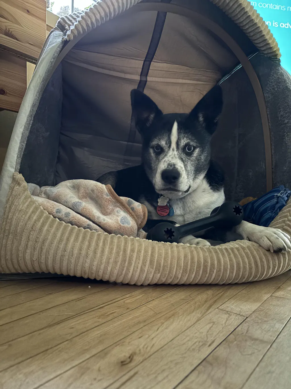 Flannel Semi-Enclosed Large Dog Tent Bed | Cozy and Detachable