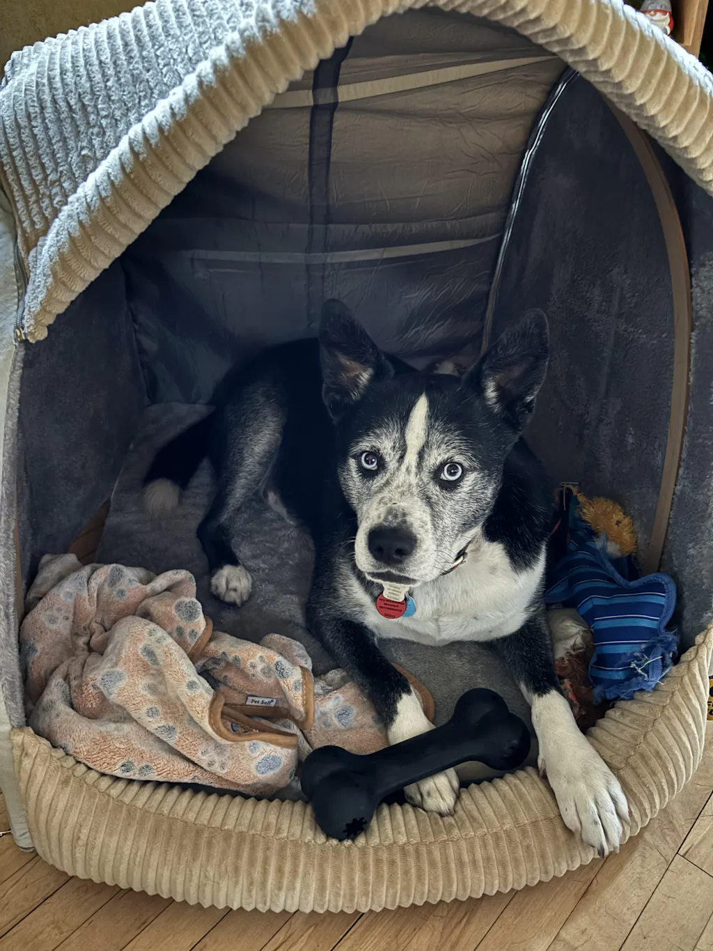 Flannel Semi-Enclosed Large Dog Tent Bed | Cozy and Detachable