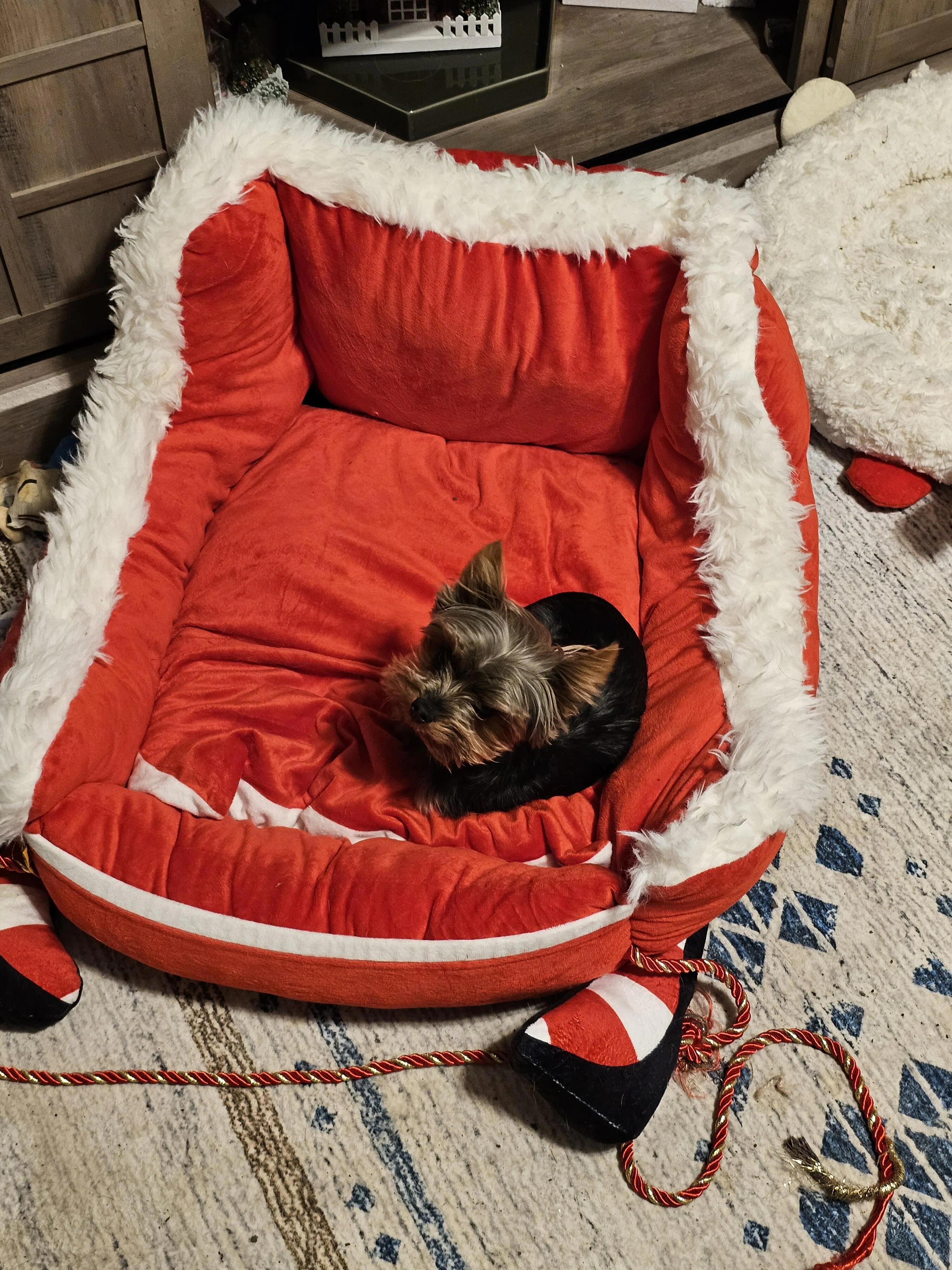 Festive Sleigh Dog Bed | Cozy & Plush Christmas Bed for Pets - FunnyFuzzy