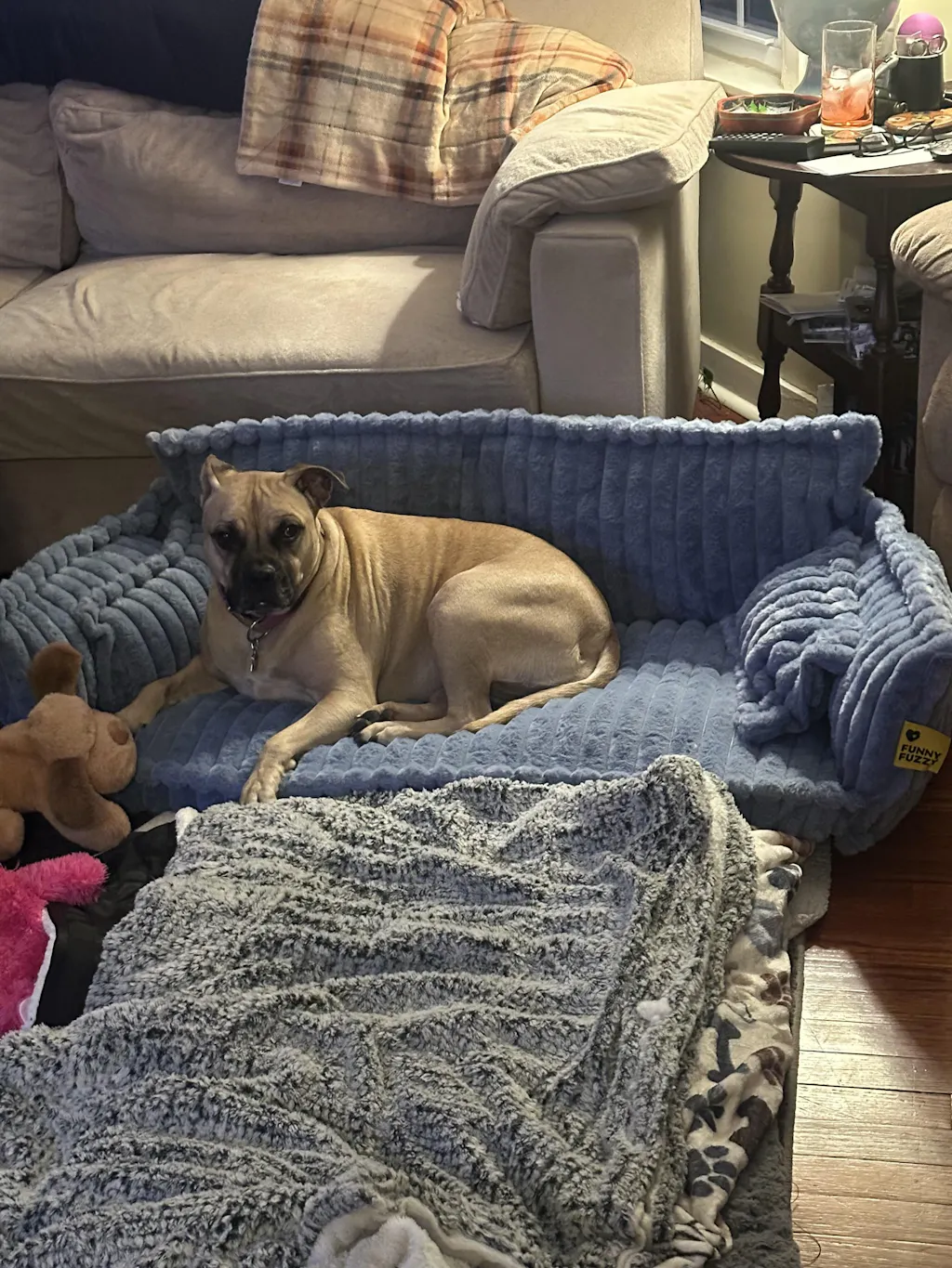 Snoozy Dream Orthopedic Dog Sofa Bed – Washable, Comfortable ...