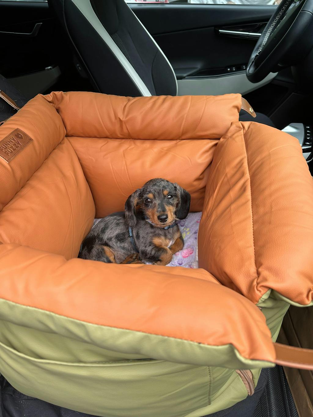 Deluxe Faux Leather Dog Car Seat | Urban Voyager Booster Bed