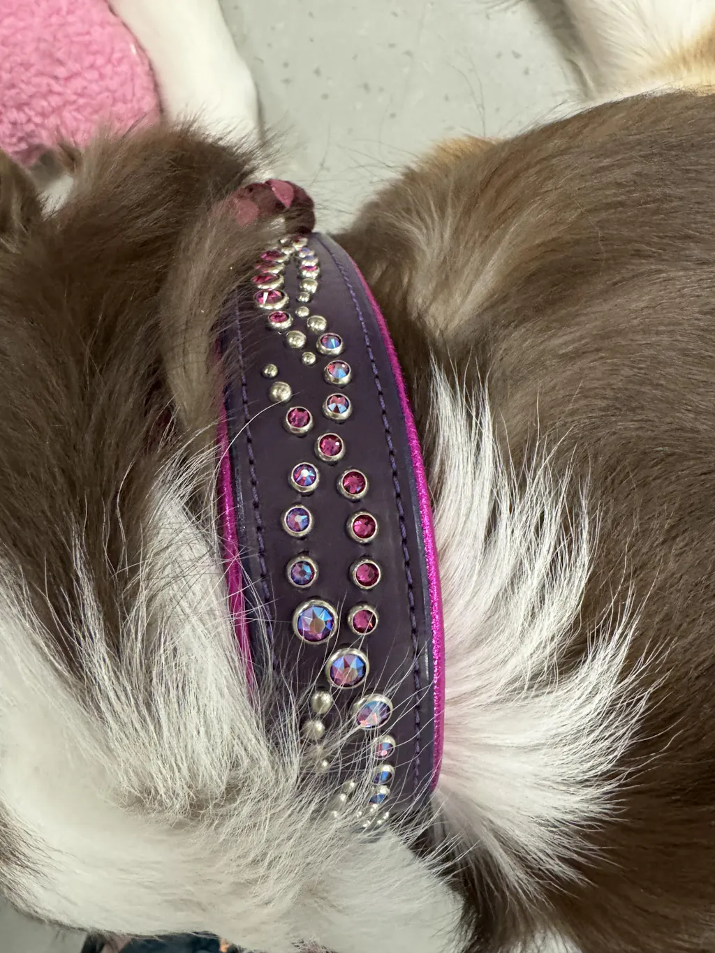Shop our Sirius Tempting Teals Leather Studded Dog Collar – Fusion By ...