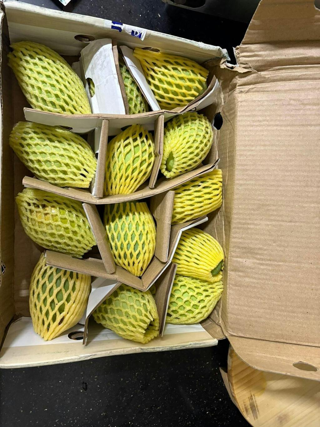 Buy Fresh Malda Mango | Dudhiya Malda Mango | A+ Grade – FutureFarming