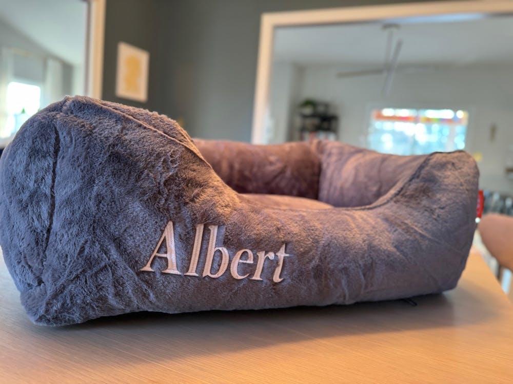FÜZI Pets Luxury Dog Beds - Elevated Dog Beds - Modern Dog Beds