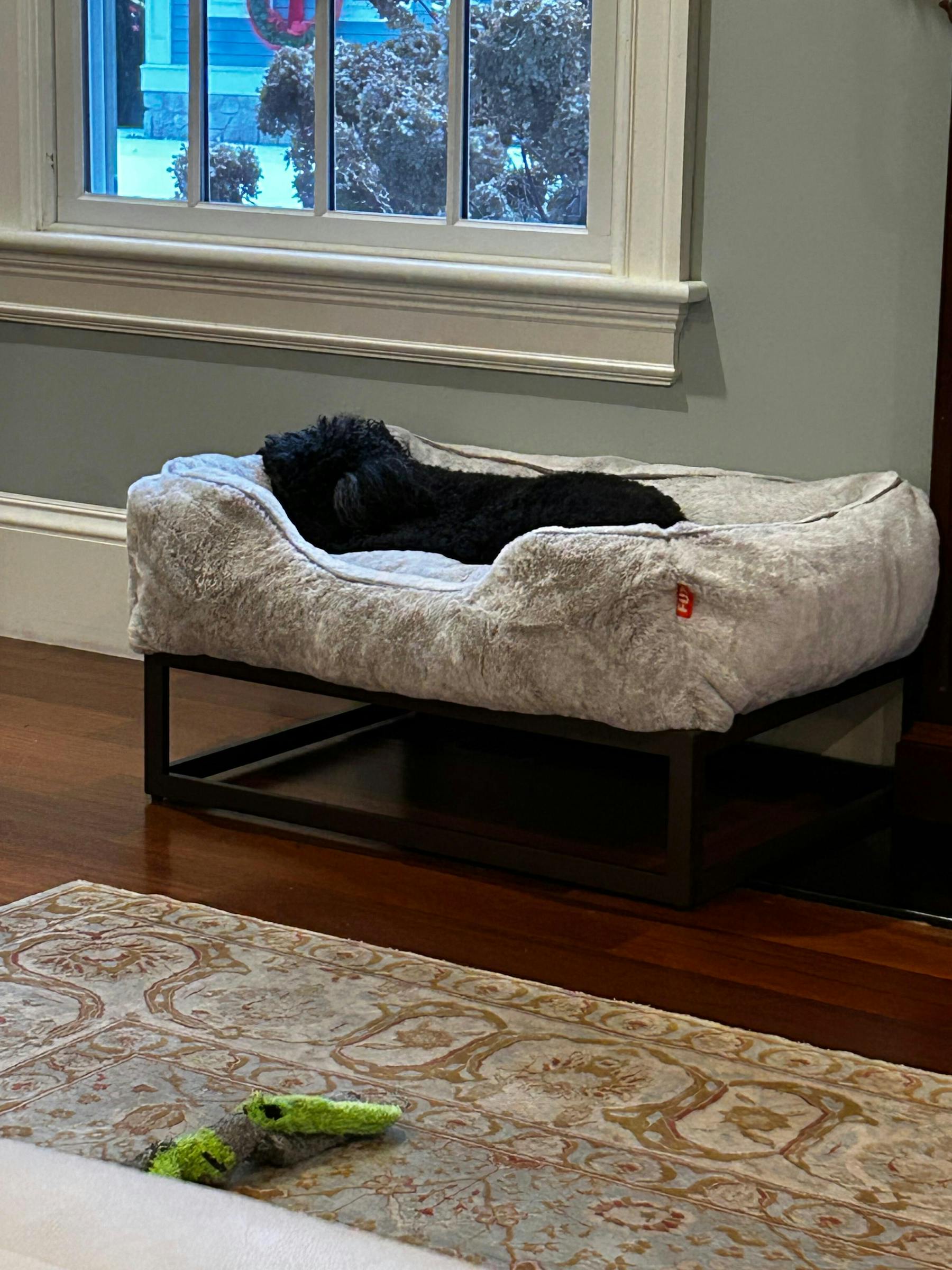 FÜZI Pets Luxury Dog Beds - Elevated Dog Beds - Modern Dog Beds