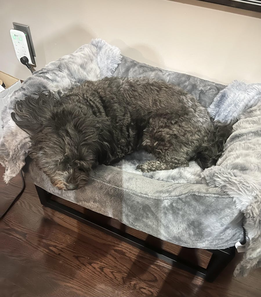 FÜZI Pets Luxury Dog Beds - Elevated Dog Beds - Modern Dog Beds