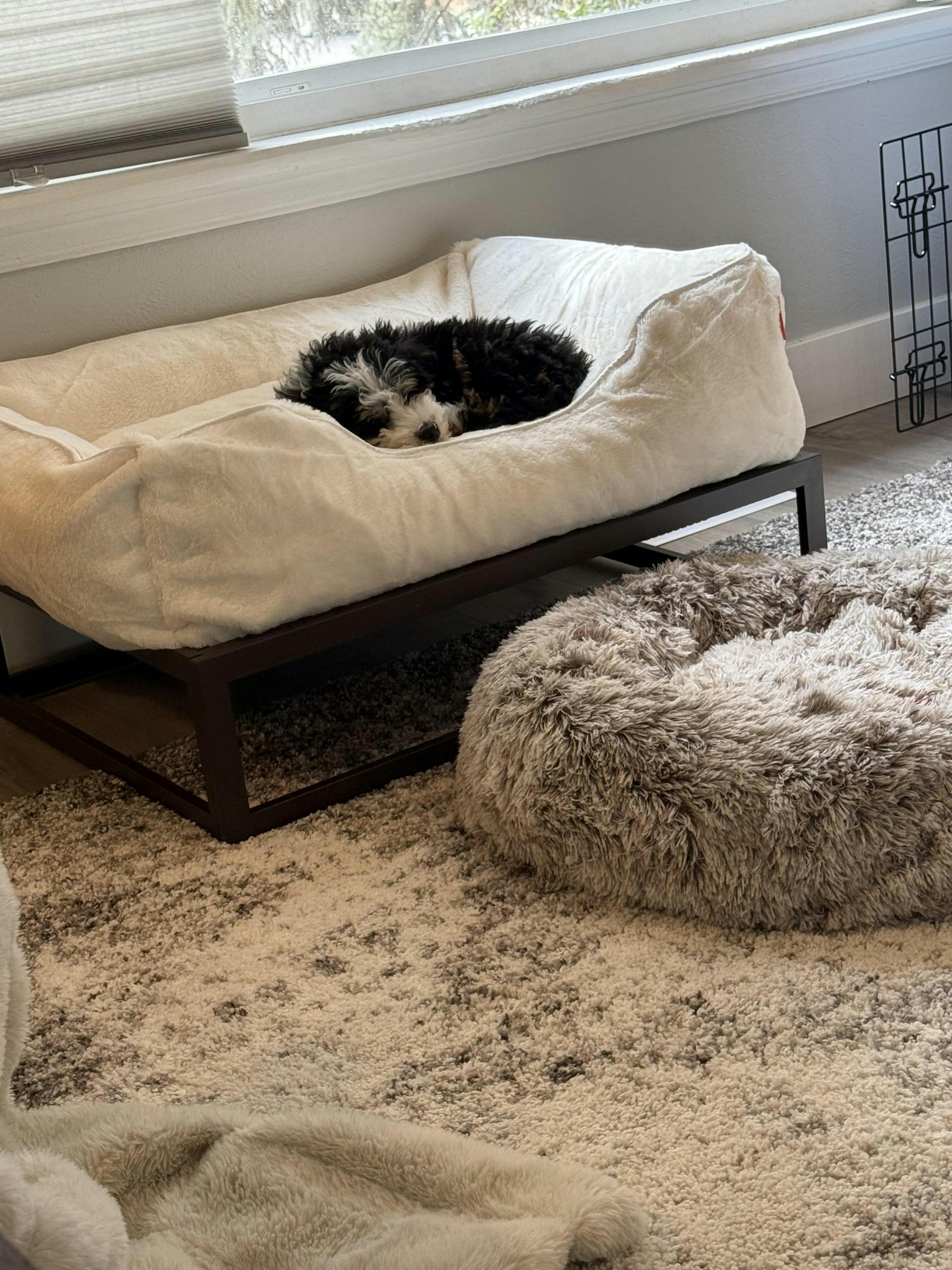 FÜZI Pets Luxury Dog Beds - Elevated Dog Beds - Modern Dog Beds