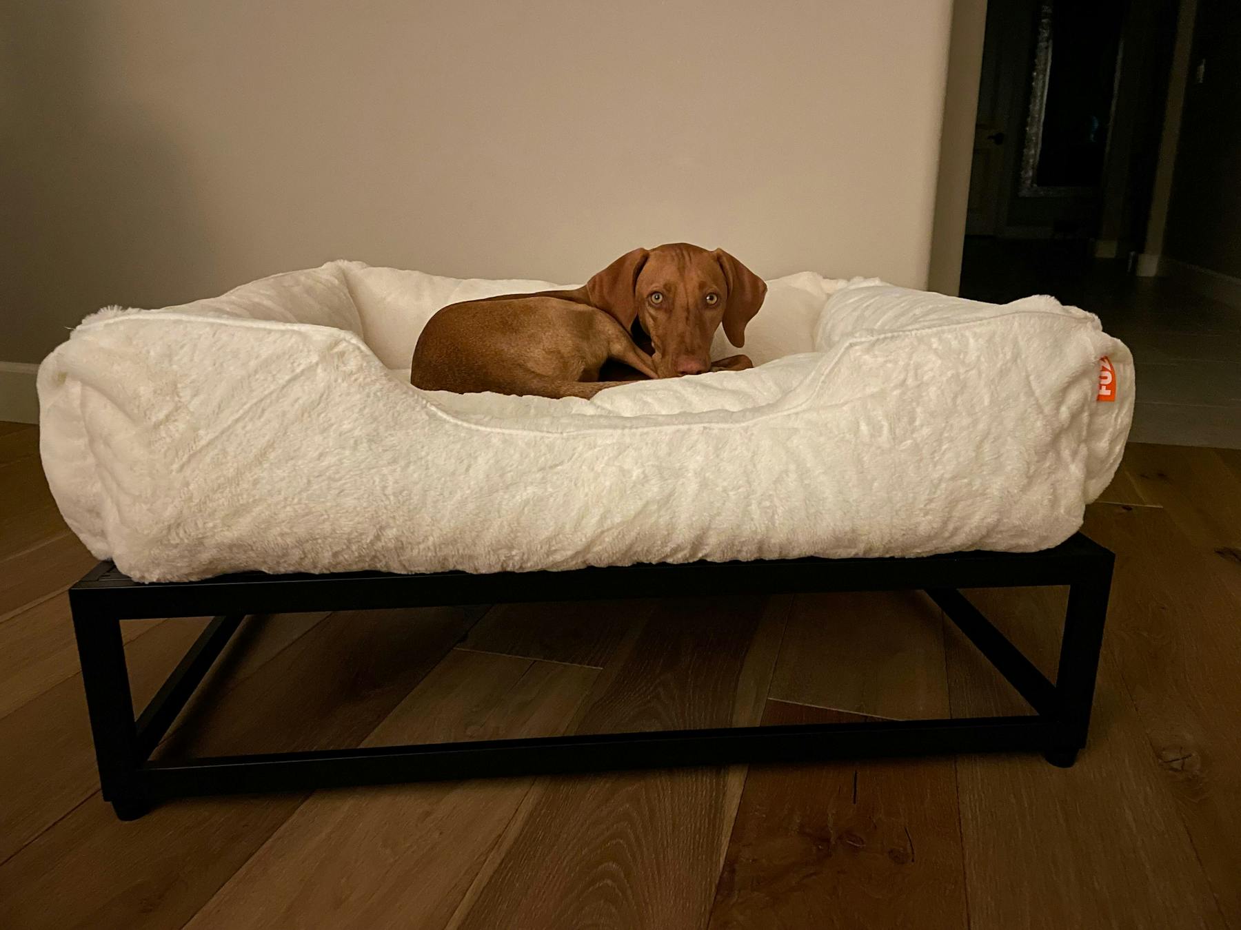 FÜZI Pets Luxury Dog Beds - Elevated Dog Beds - Modern Dog Beds