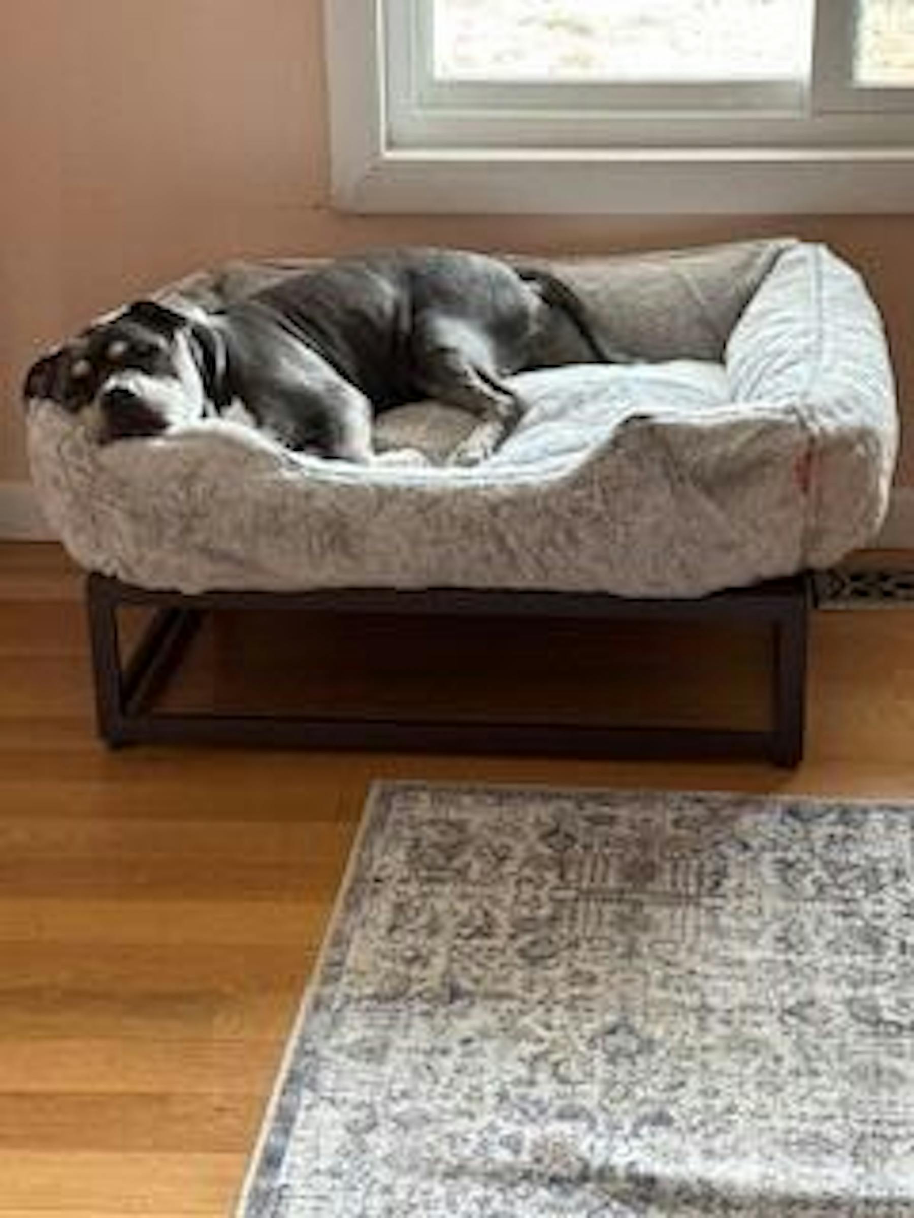 FÜZI Pets Luxury Dog Beds - Elevated Dog Beds - Modern Dog Beds