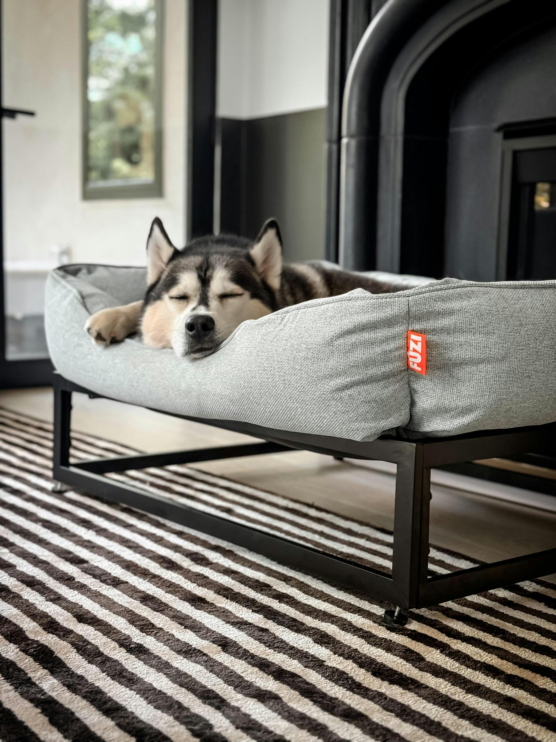 FÜZI Pets Luxury Dog Beds - Elevated Dog Beds - Modern Dog Beds