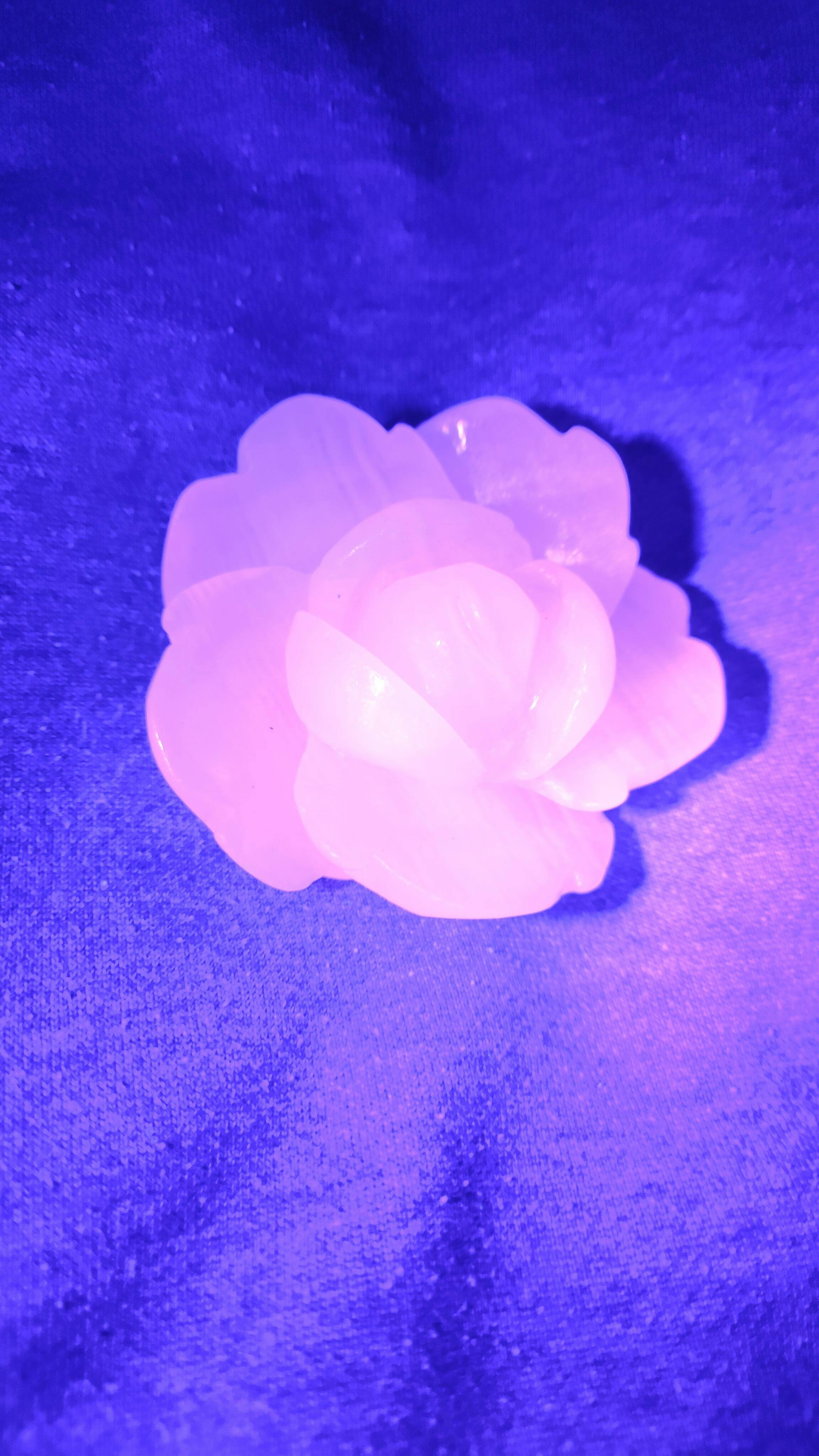 Crystal & fossil Hearts! – G&J crystal emporium