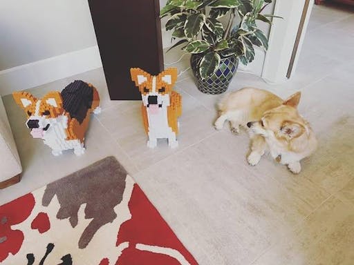 Realistic Toy Building Blocks | Dogs, Cats, Wildlife | Build 'Em Pets