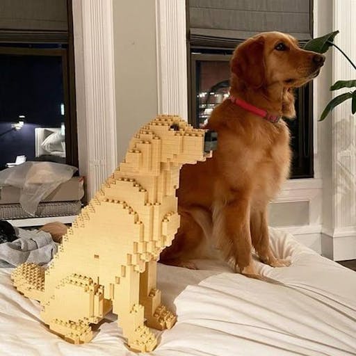 Realistic Toy Building Blocks | Dogs, Cats, Wildlife | Build 'Em Pets