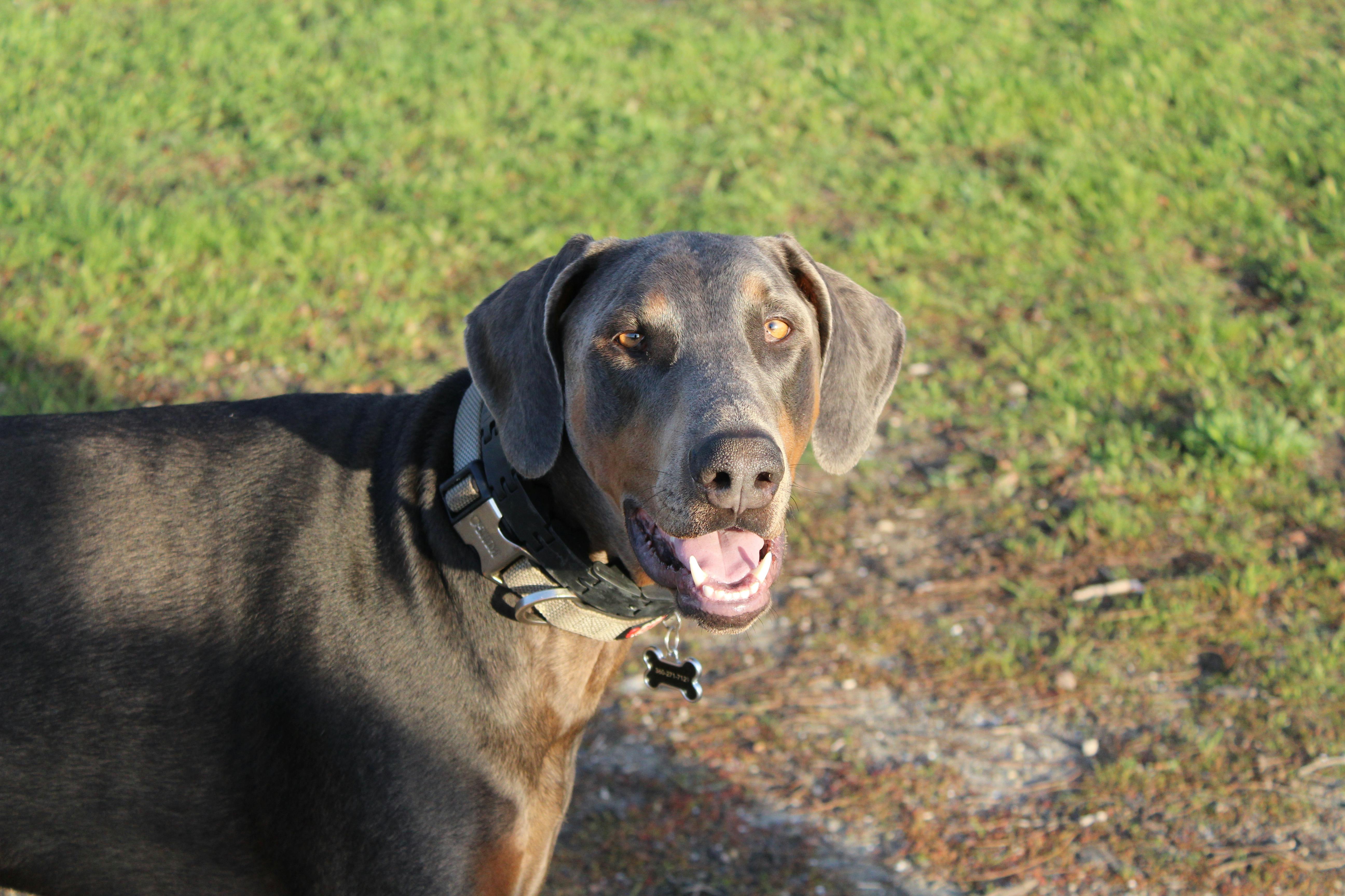 Judge.me Product Reviews