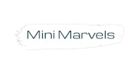 Mini Marvels | Reviews on Judge.me
