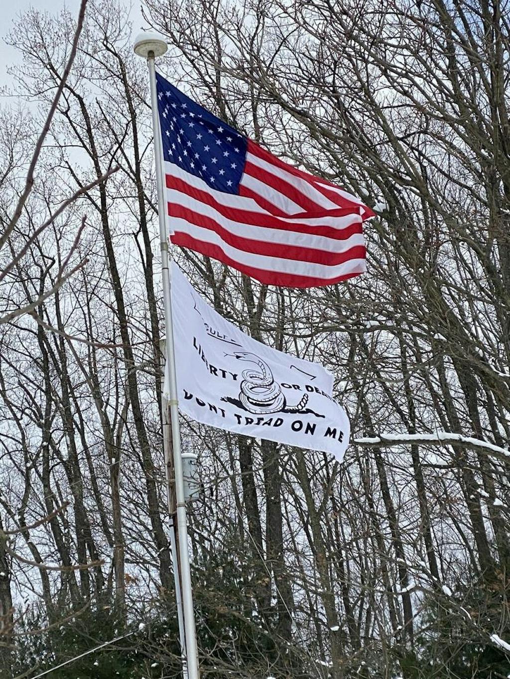 3x5 ft Culpeper Minutemen Premium Nylon Flag - Annin Co. — Gadsden and ...