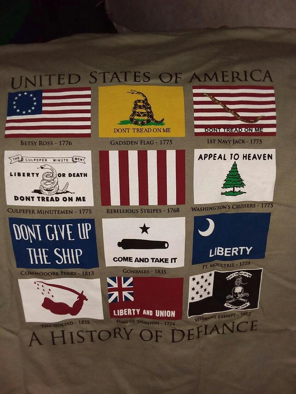 History of Defiance T-Shirt - Sage — Gadsden and Culpeper